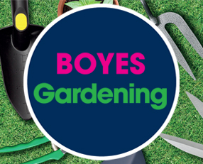 BOYES - For Good Value!